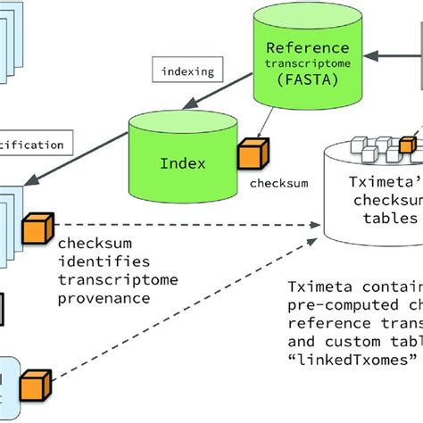 Flowchart Of Salmon Quantification Followed By Tximeta The