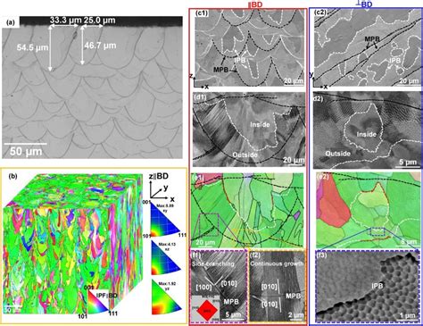 Microstructure Overview Of The 316l Stainless Steel Ss Sample