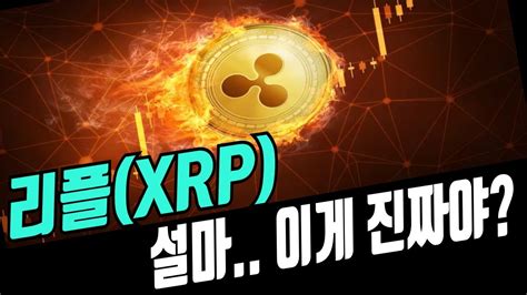 리플 전망 설마 이게 진짜야 리플 리플코인 리플전망 리플코인전망 리플분석 리플목표가 업비트시황 코인시황 급등코인추천 리플대응 Youtube