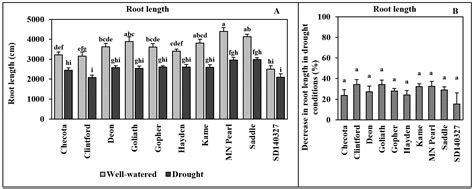 Agriculture Free Full Text Evaluation Of Morpho Physiological