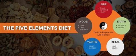Five Elements Tcm