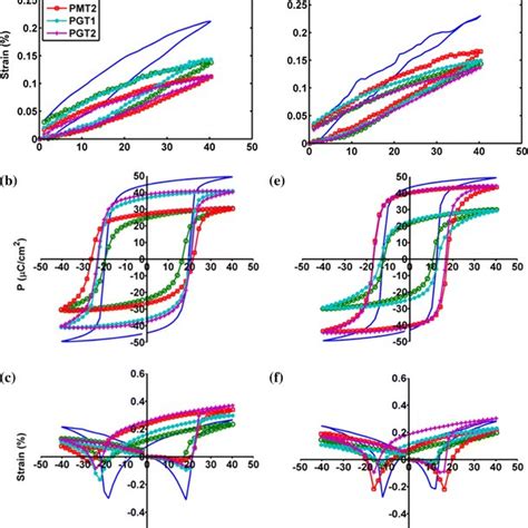 Comparison Of Unipolar Strain Bipolar Polarization And Bipolar Strain Download Scientific
