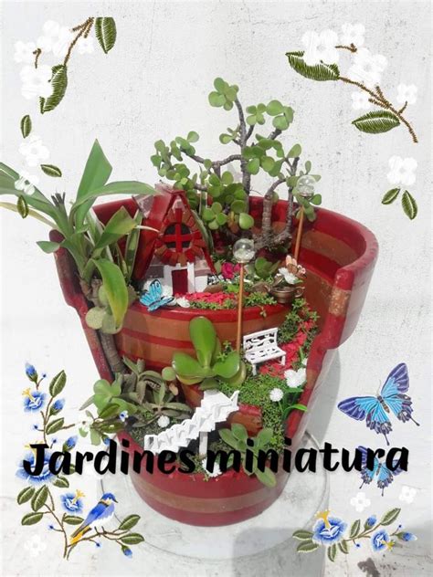 Pin De Jardines Miniatura En Jardines Miniatura Jardines Plantas Miniaturas
