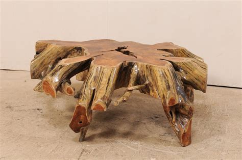 Beautiful European Tree Root Coffee Table For Sale At StDibs Tree Coffee Table Root Table