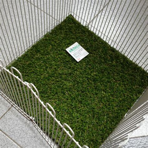 Bnwt Daiso Grass Patch Tile Pet Supplies Homes And Other Pet