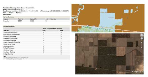 Left Bird Point Count Survey Data From One Location Source Usgs Download Scientific Diagram