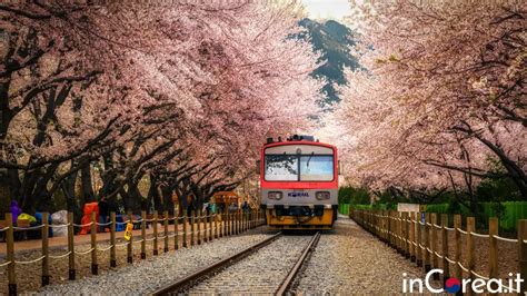 Korail Pass South Koreas Tourist Train Pass Prices In 2025 And