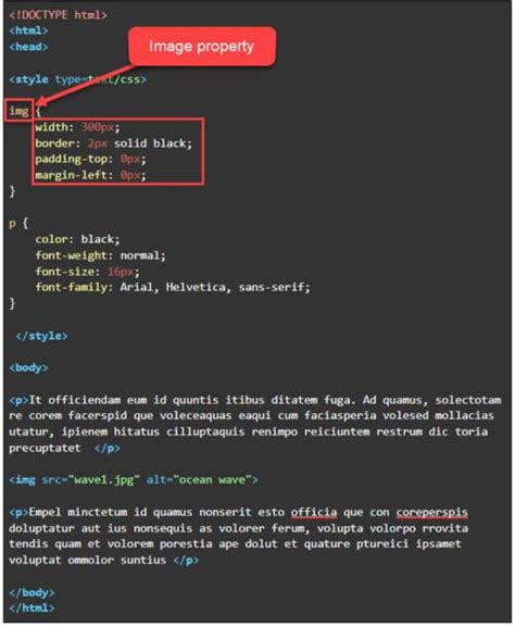 the difference between margins and padding in css and html udacity