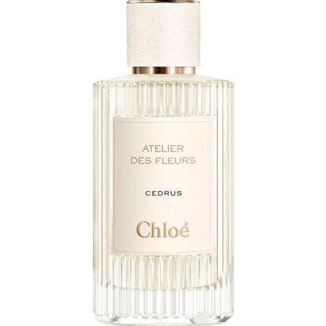 Chloe Cedrus Fragrance Samples