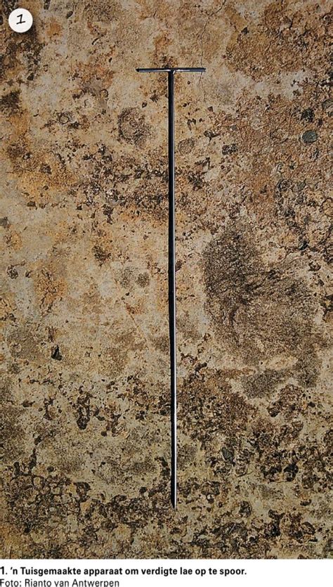 Voor En Nadele Van Grondvoorbereiding In Bewaringsboerdery Sa Grain