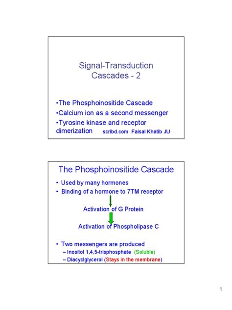 Pdf Hormones Lecture 3 Handout Dokumentips