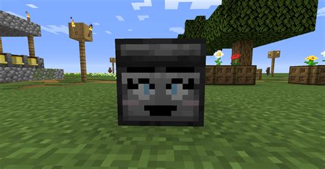 Please Do Not Lewd Observer Chan R Animemes