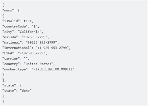 Mobile Validation API Quick Guide For Developers
