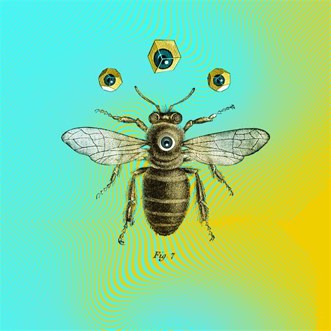 Download Vintage Bee Illustration Aesthetic Wallpaper