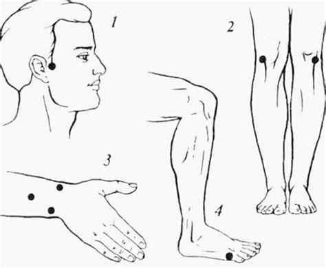 Масаж живота при запорах у дорослих лікувальна гімнастика для кишечника літніх вагітних схема