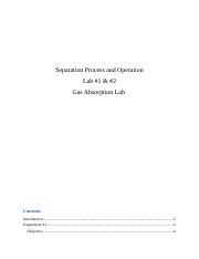 Separation Lab Report Docx Separation Process And Operation Lab Gas Absorption Lab