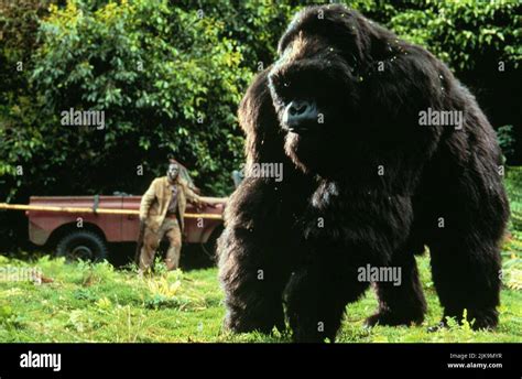 Gorilla Film Mighty Joe Young Usa 1998 Director Ron Underwood 25
