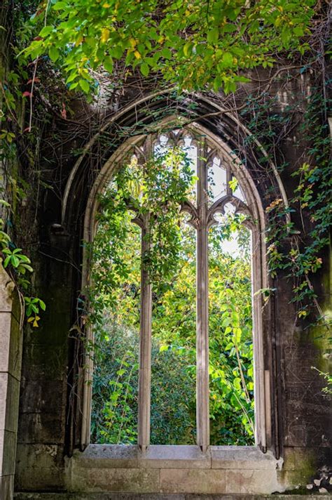 건축 경치 고대 유적 고딕 양식의 건축물 고요함 녹지 담쟁이덩굴 덩굴 런던 무성한 식물 문화 유산 벽돌 벽 사적지 석조 아치 석조 창 수직 쐈어