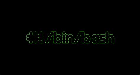 crafting delight a journey into ascii animation with a cute expression