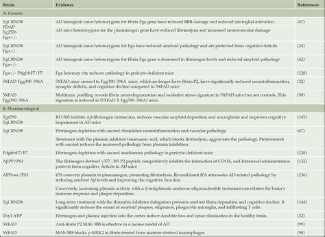 Fibrin Targeting Immunotherapy For Dementia • The Journal Of Prevention
