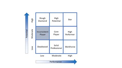 When Performance Meets Potential The Nine Box Matrix The Maximum Standard When Performance Meets Potential The Nine Box Matrix The Maximum Standard