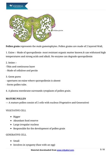 Sexual Reproduction In Flowering Plants Class 12 Notes Vidyakul