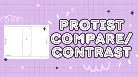 Protist Comparecontrast Chart By Burnsiebee Science Tpt