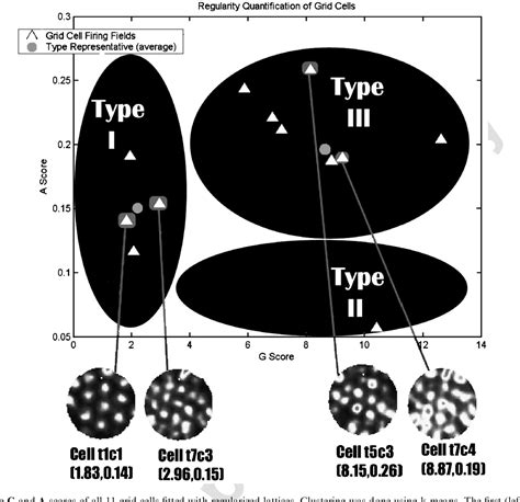 Figure 4 From Quantified Symmetry For Entorhinal Spatial Maps Semantic Scholar
