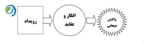 نمودارها و دیاگرام ها دکتر وحید فدایی