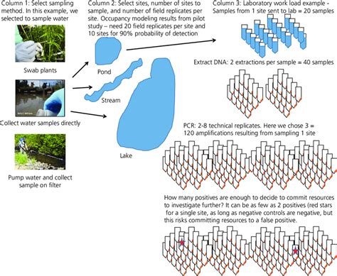 Study Design And Sampling Strategy Are Critical To Successfully Download Scientific Diagram