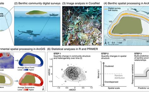 Recurring Bleaching Events Disrupt The Spatial Properties Of Coral Reef Benthic Communities