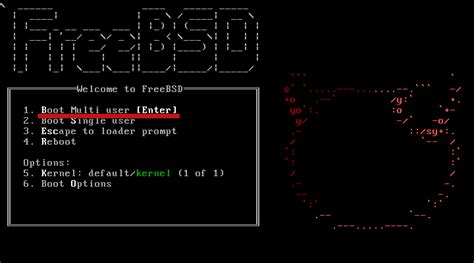 How To Install FreeBSD With ZFS Filesystem