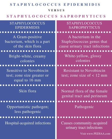 Difference Between Staphylococcus Epidermidis And Staphylococcus Saprophyticus Pediaa Com
