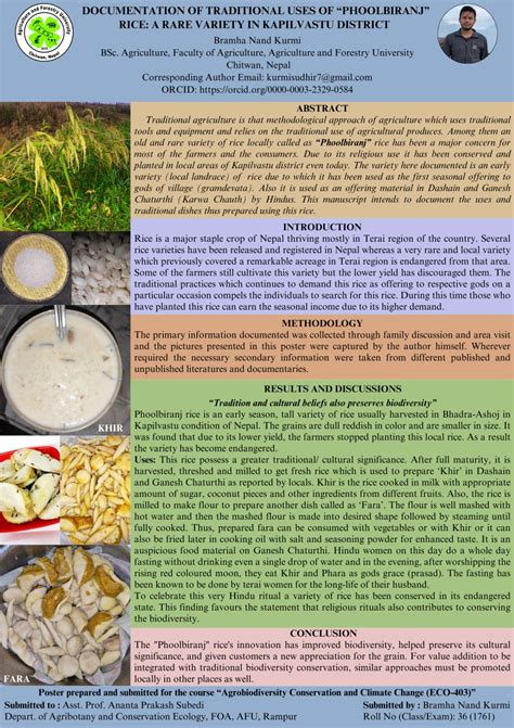 Documentation Of Traditional Uses Of Phoolbiranj Rice A Rare Variety