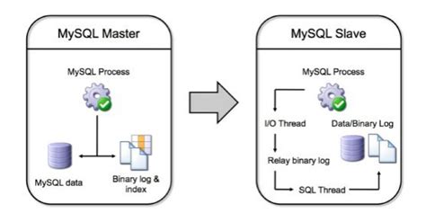 replikacja i duplikacja baz danych na przykładzie dbms mysql ¶ zeszyt