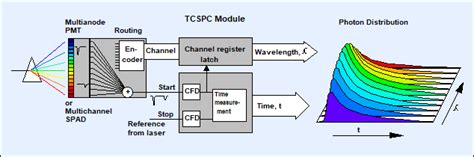 The Bh Tcspc Technique Principles And Applications Becker And Hickl Gmbh