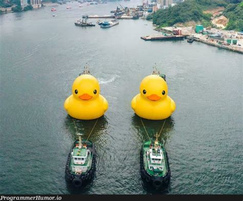 when you fucked up so bad that a regular rubber duck isn t enough
