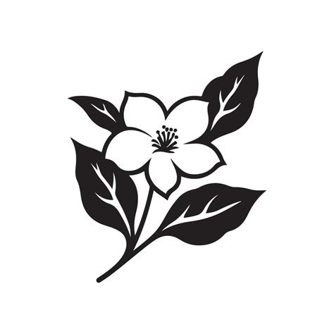 Jasmine Flower Black 46529043 Vector Art At Vecteezy