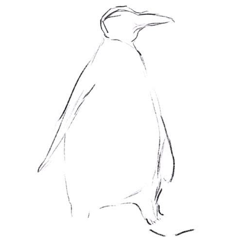 Penguin Drawing A Realistic Step By Step Drawing Tutorial