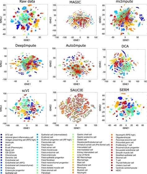T Sne Visualizations Of The Raw And Imputed Data By Eight Different