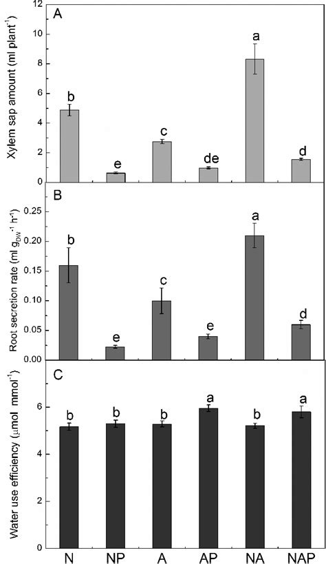Rice Xylem Sap Amount A Root Secretion Rate B And Water Use Download Scientific Diagram
