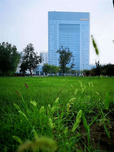 招聘动态鲁迅美术学院十、十一月份校园专场招聘会推介 搜狐大视野 搜狐新闻