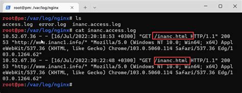 Nginx Log Kontrol Süreçleri Nginx Logging İnanç Delibalta
