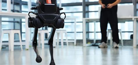 Tron 1丨the First Multi Modal Biped Robot Limx Dynamics