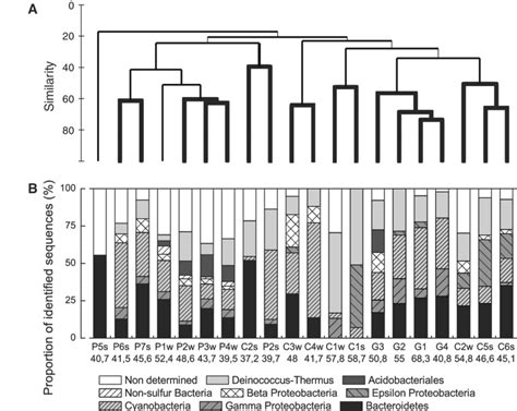 A Dendrogram Comparing All Samples According To The Relative Band