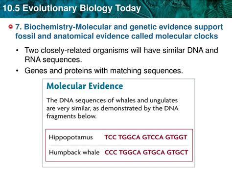 Ppt Two Closely Related Organisms Will Have Similar Dna And Rna Sequences Powerpoint