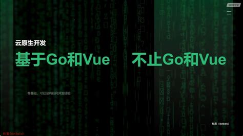 杜宽：【云原生全栈开发】基于go和vue的k8s多集群管理自动化运维平台开发项目实战 vipc6资源网