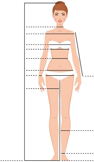 Diagrams Of The Female Body Measurements In Full Length Template For