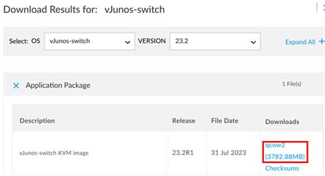 Eve Ng Bms Environment Juniper Networks
