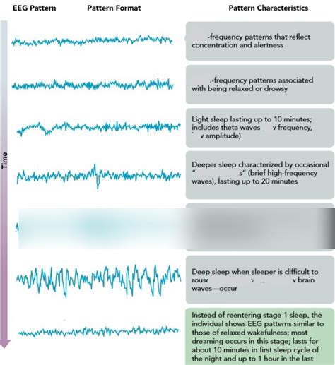 Schleep Diagram Quizlet